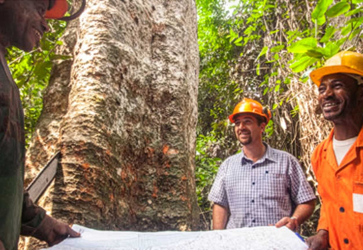 corporate social responsibility - Danzer UK